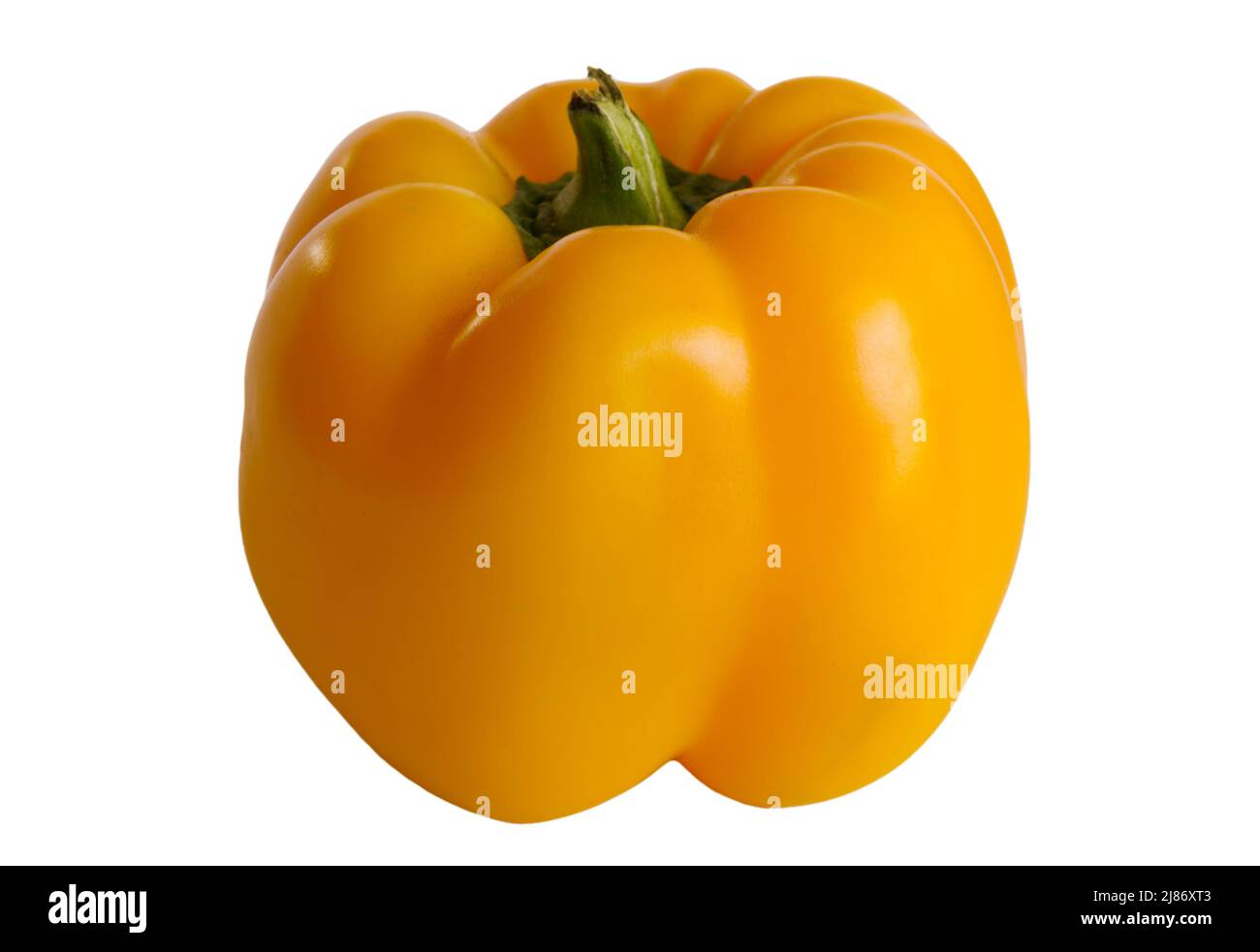 One yellow juicy fleshy bell pepper (sweet pepper) isolated on white ...
