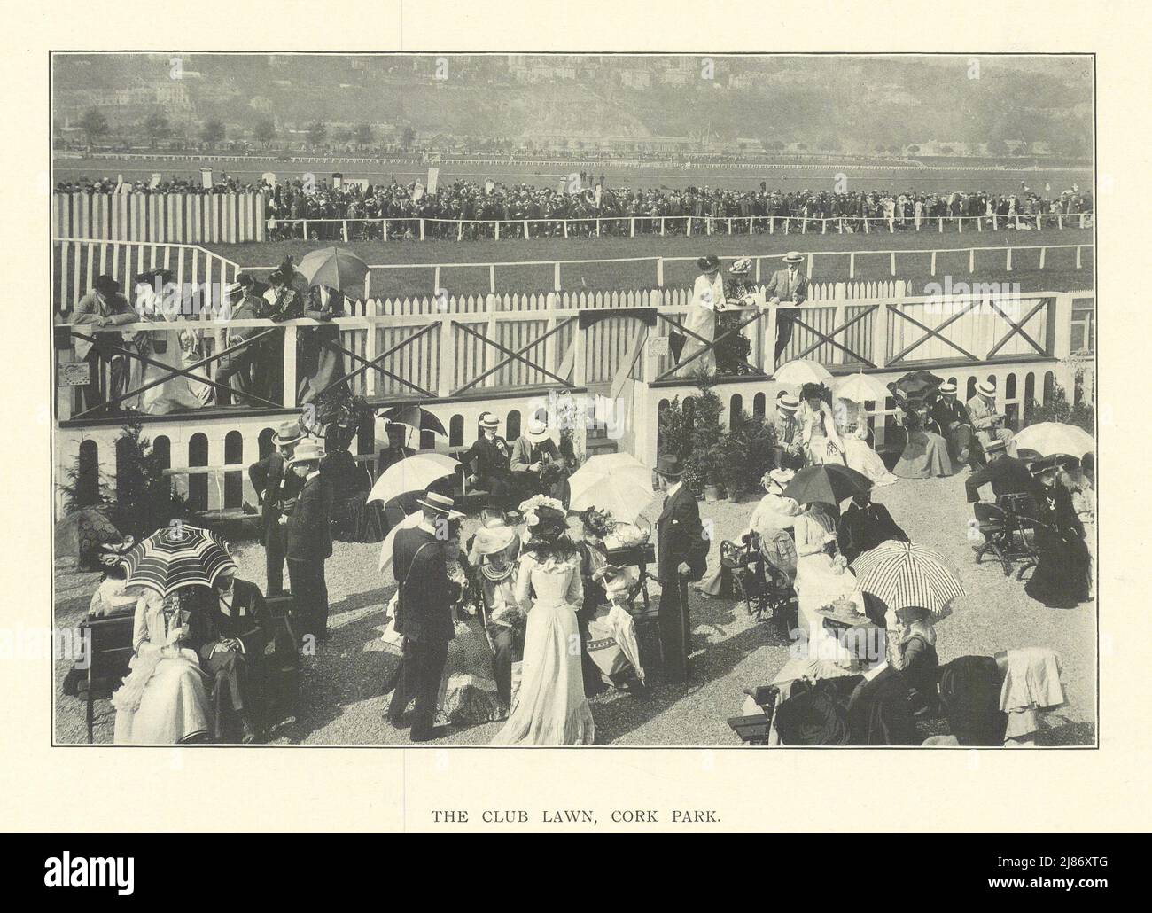 The Club Lawn, Cork Park race course, Ireland 1903 old antique print ...