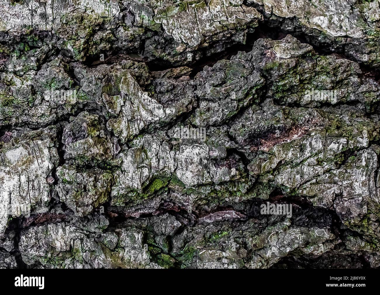 Embossed texture hi-res stock photography and images - Alamy