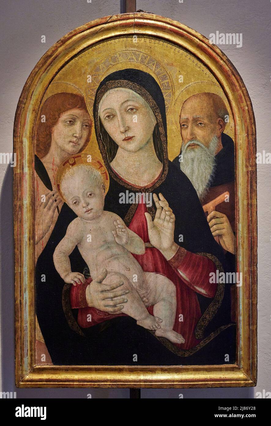 Madonna col Bambino , S. Antonio Abate e S. Sebastiano - tempera su tavola - Guidoccio ...