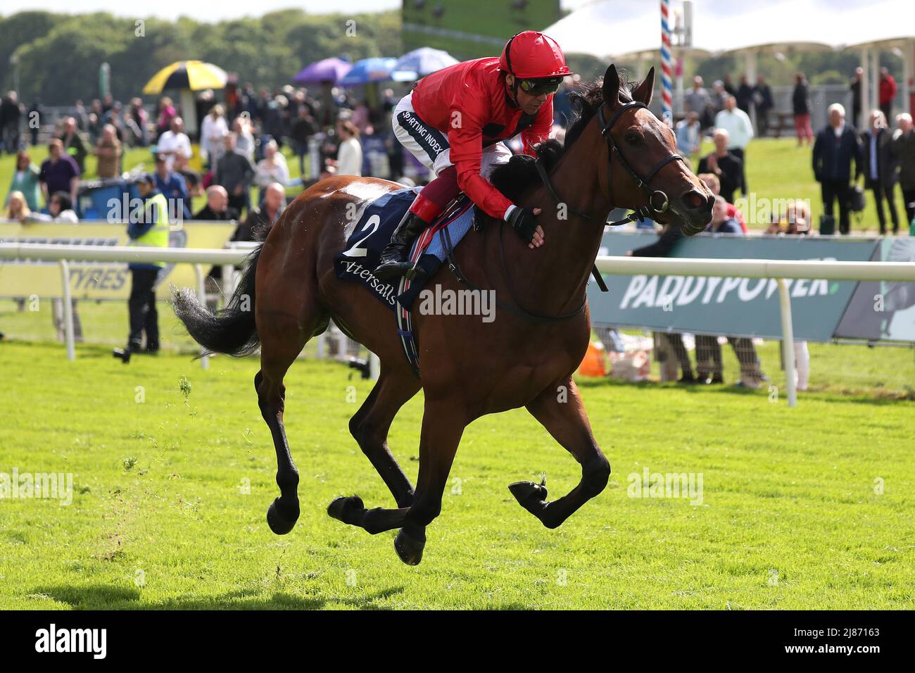 Emily upjohn High Resolution Stock Photography and Images - Alamy