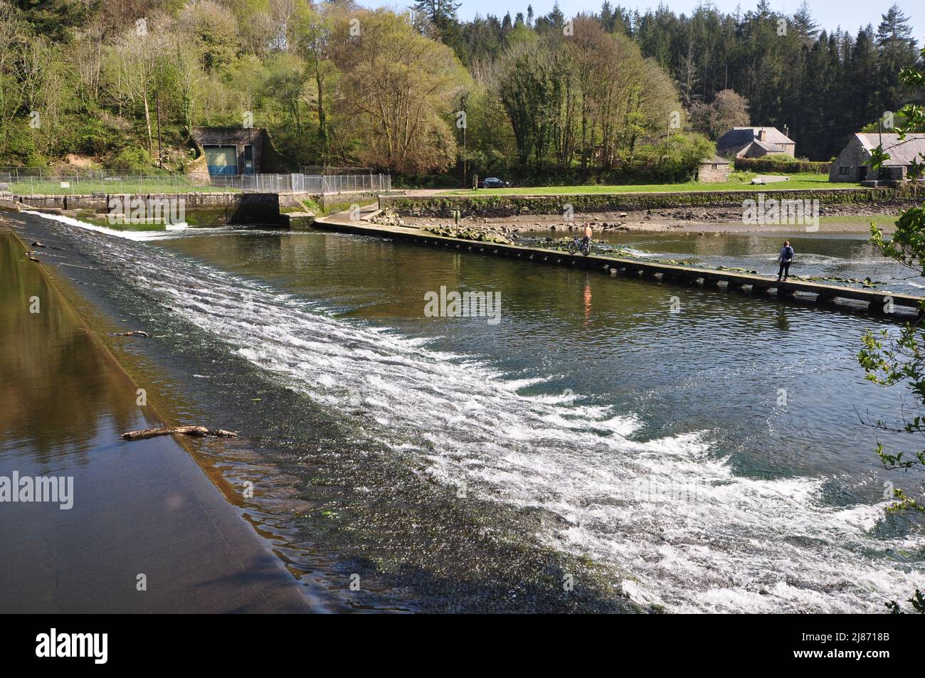 Lopwell Dam on the River Tavy, near Plymouth, Devon, UK Stock Photo - Alamy