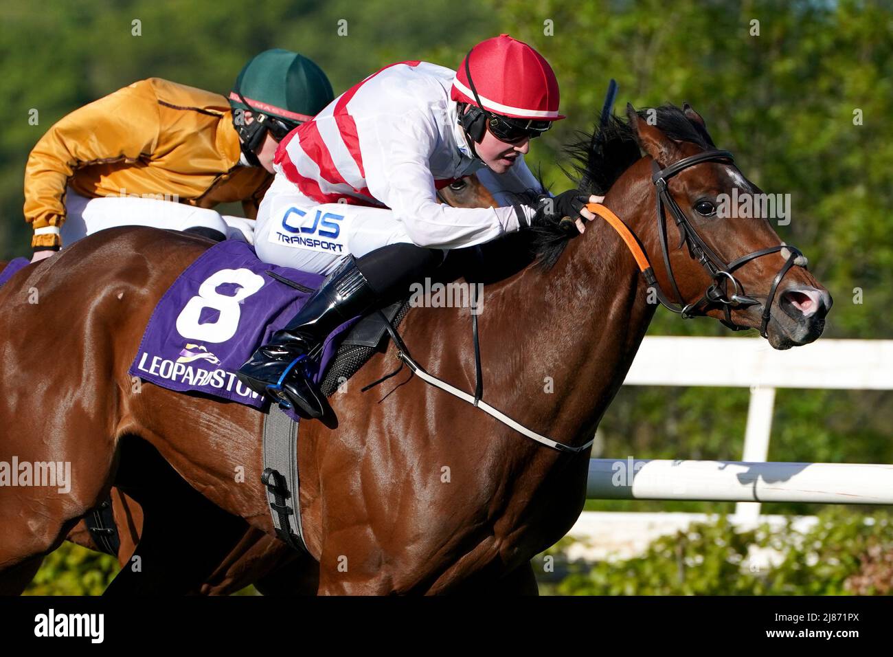 Rosie Rock and Adam Caffrey (8) on the way to winning the Sandyford ...