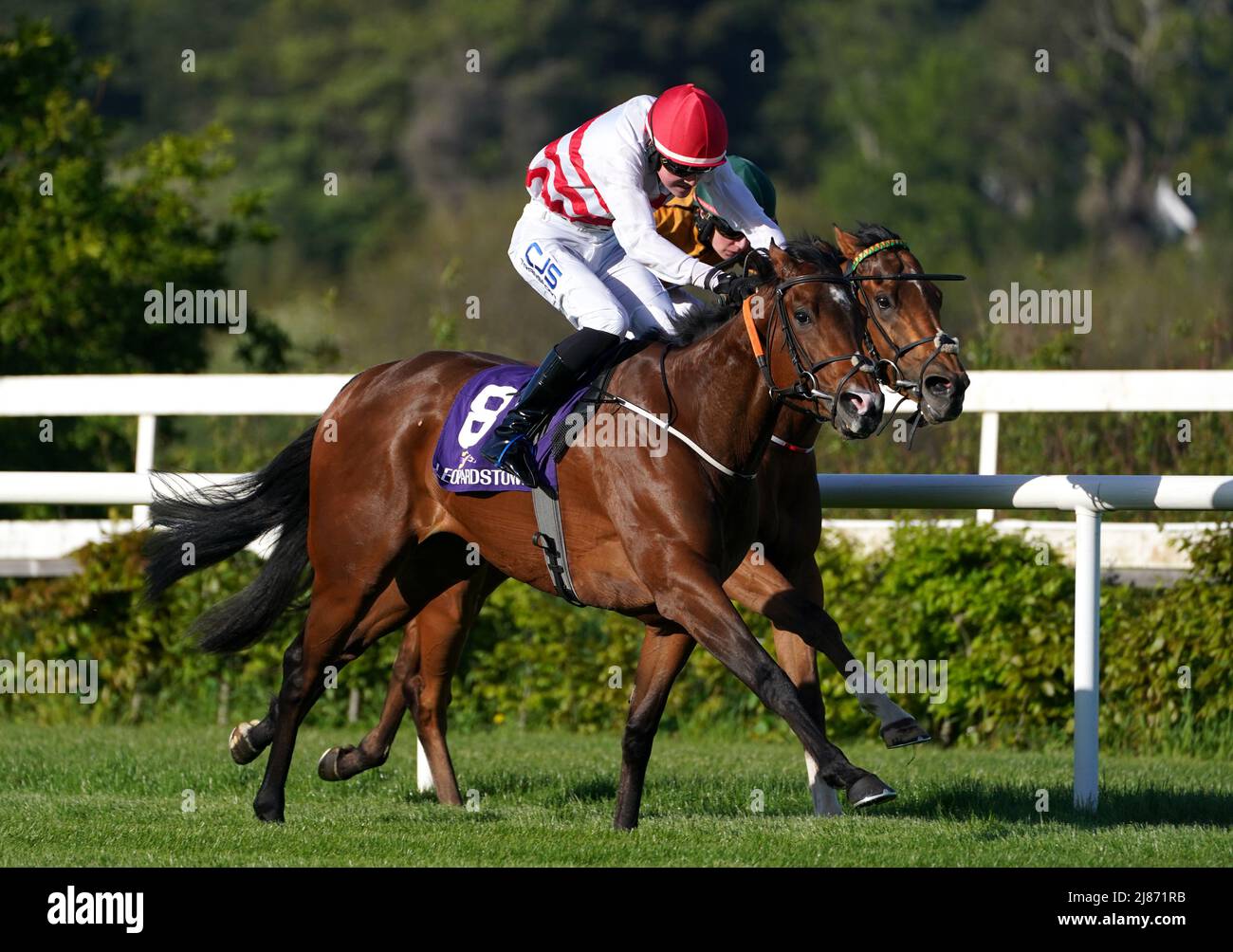 Stephen Caffrey 2022 Dating