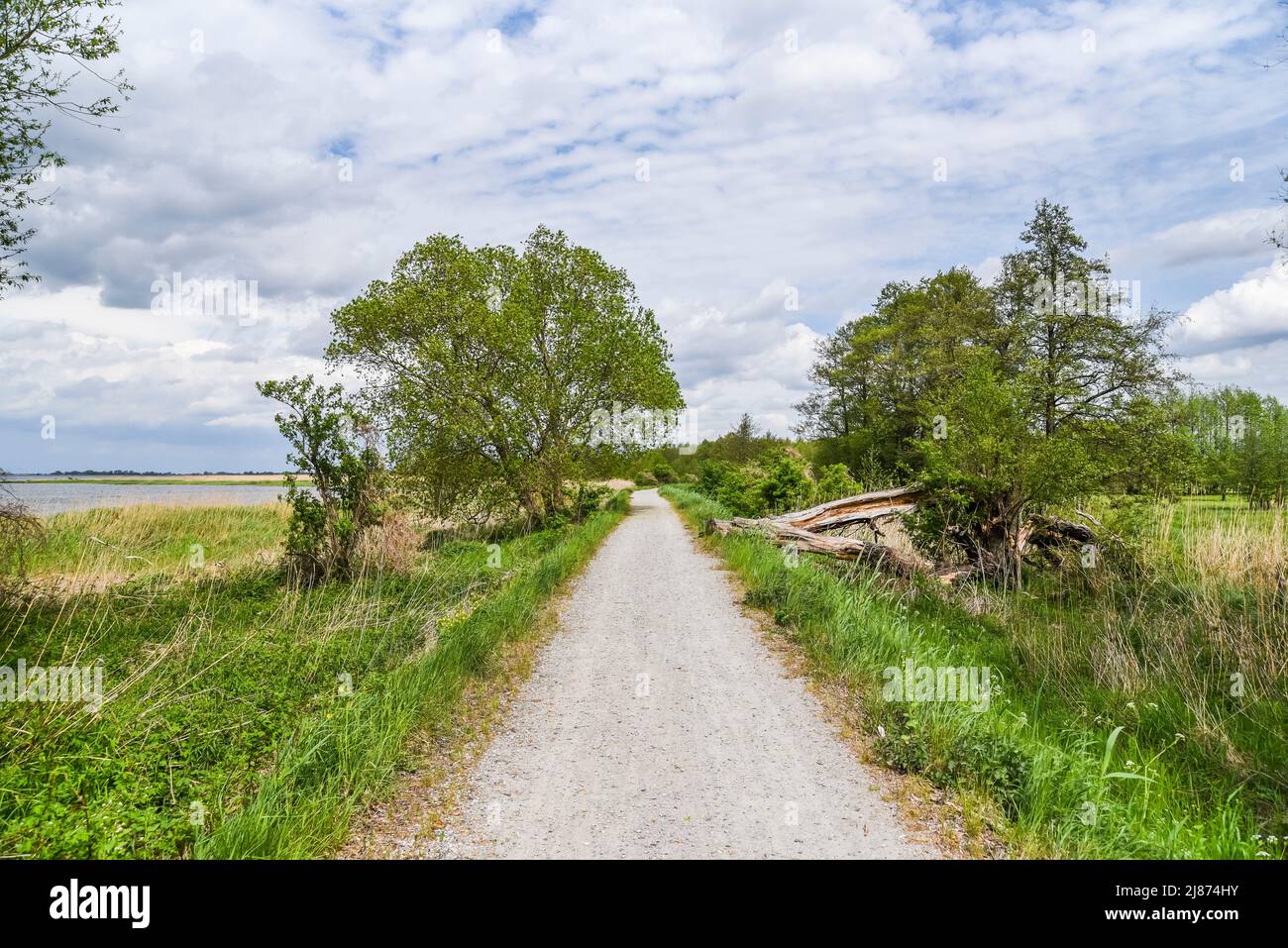 Rural landscape, gravel path between trees, meadows and fields Stock ...