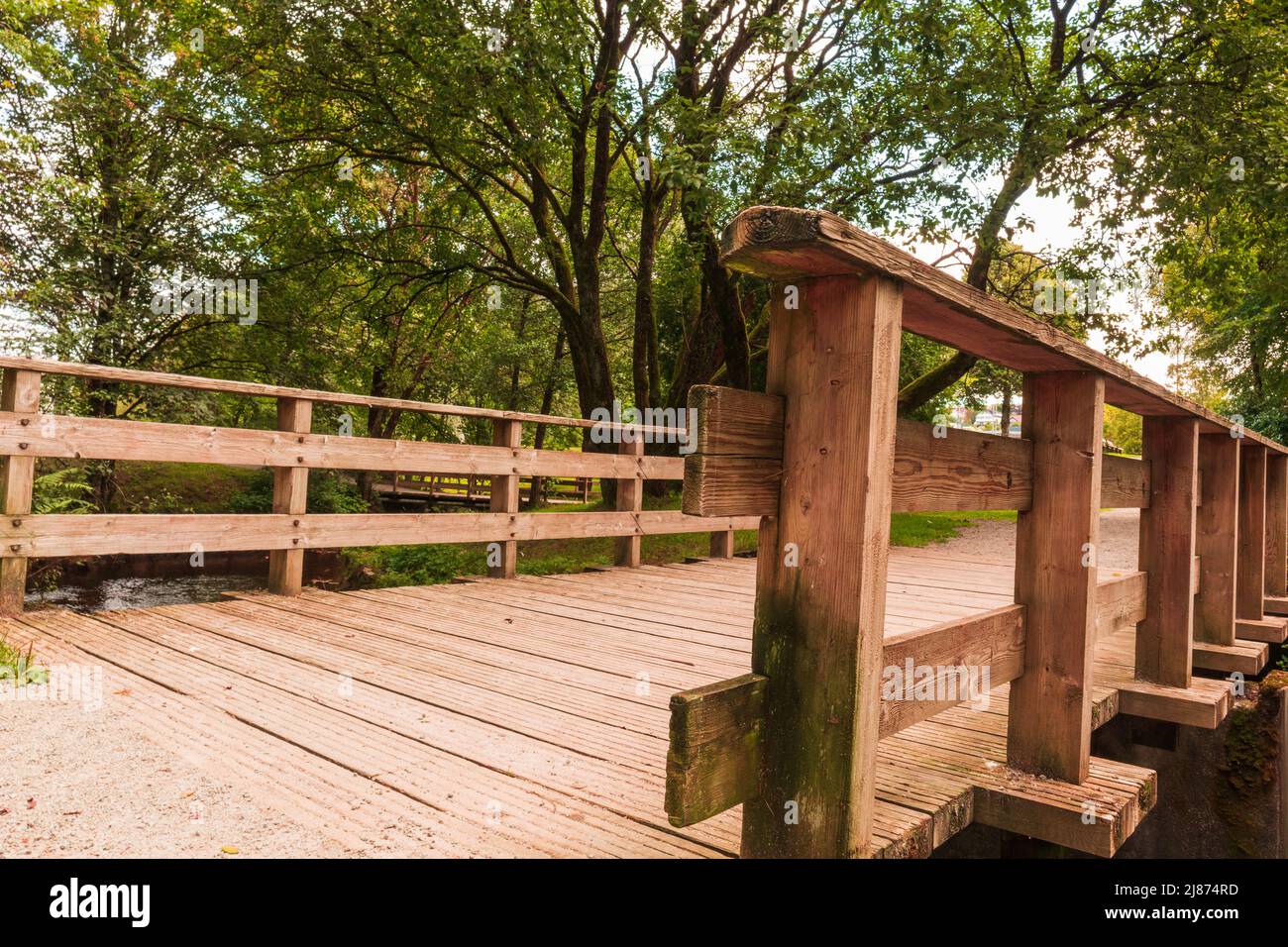 Beautiful bridge in the forest hi-res stock photography and images - Alamy