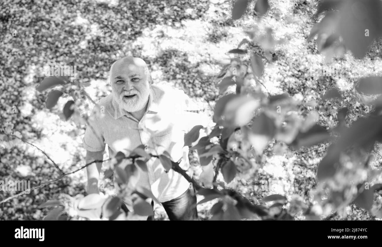 Cheerful pensioner. Happy smiling grandpa looking up. United with ...