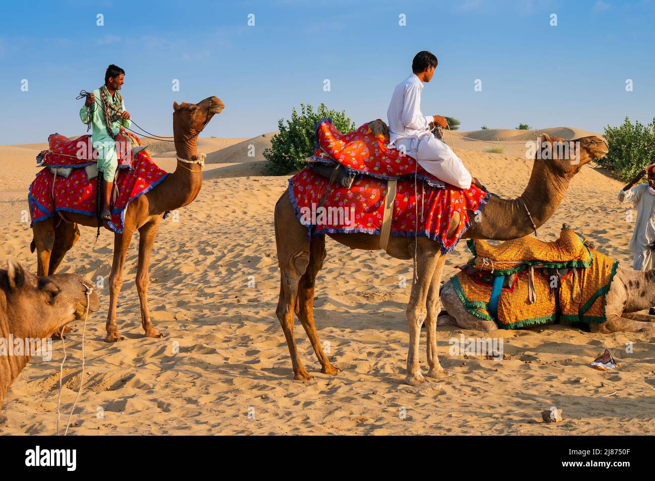 Thar desert, Rajasthan, India - October 15th 2019 : Camel owners with ...