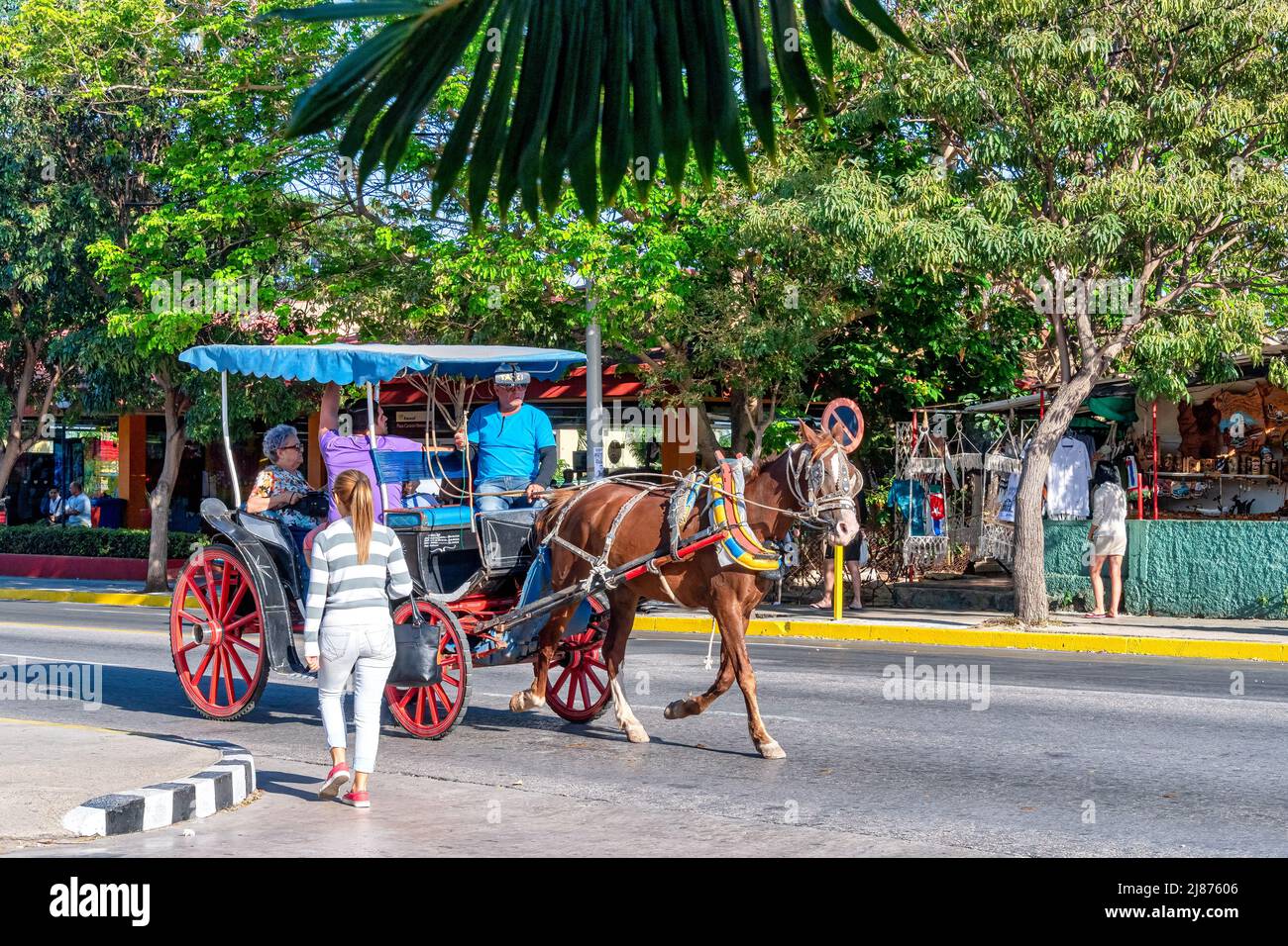 A horse cart transporting tourists drives in the First Avenue. City ...