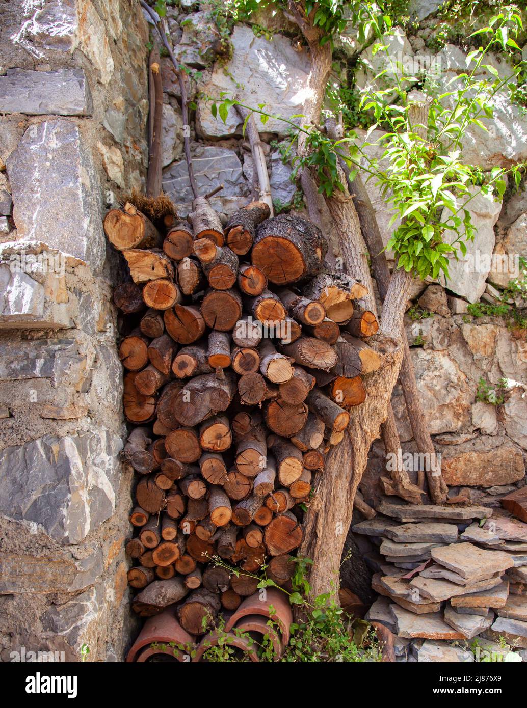 Stack of firewood in a garden next to the stonewall. Vertical and close ...