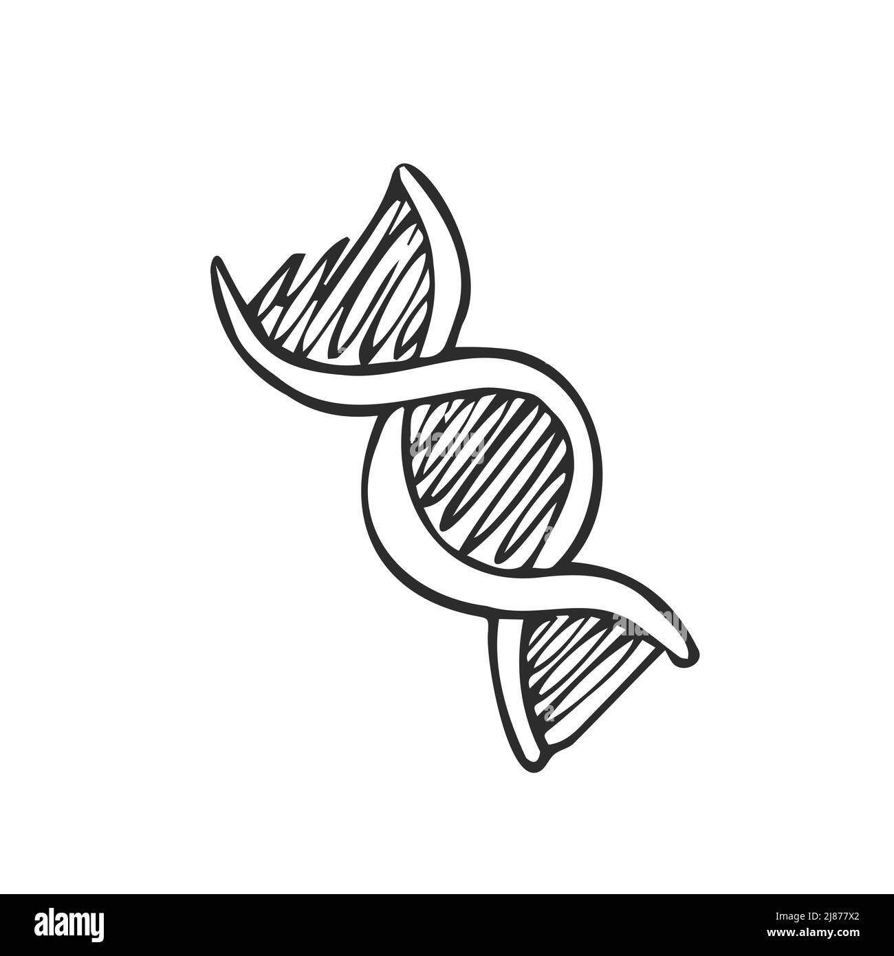 Medical doodle objects. Simple hand drawn dna molecule Stock Vector ...