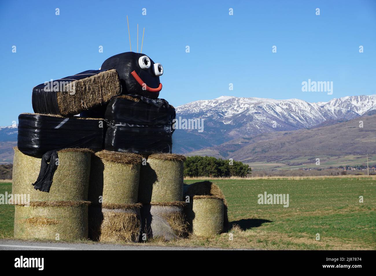 smiling puppet made out of hay bales in the pyrénées, france Stock ...