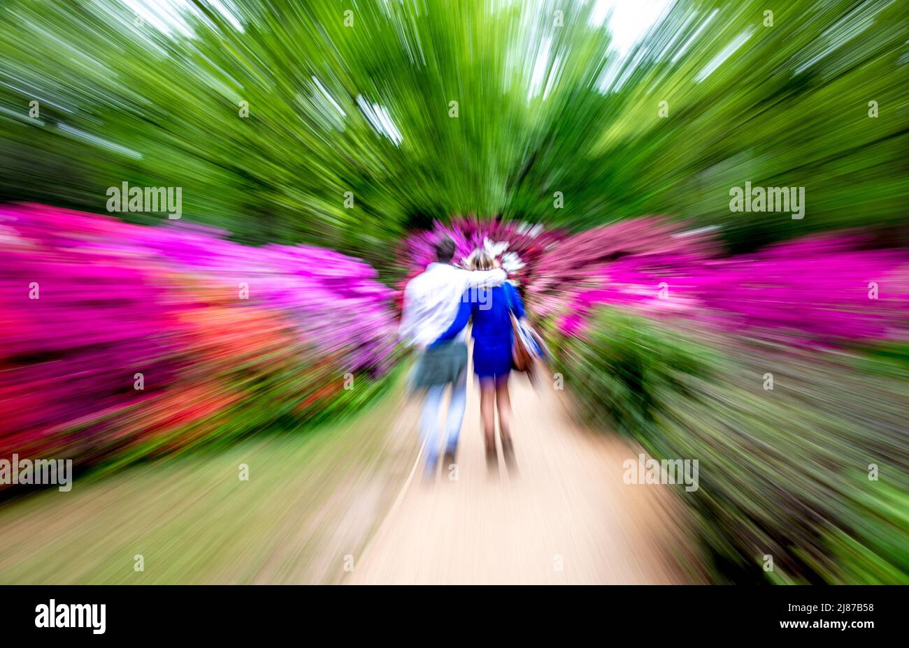 Couples walking together on hi-res stock photography and images - Alamy