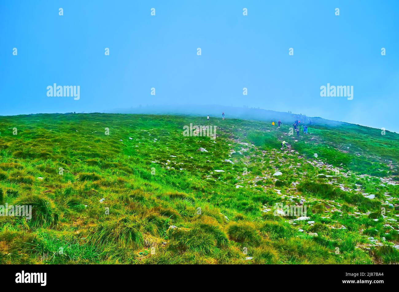 Hoverla mountain in mist hi-res stock photography and images - Alamy