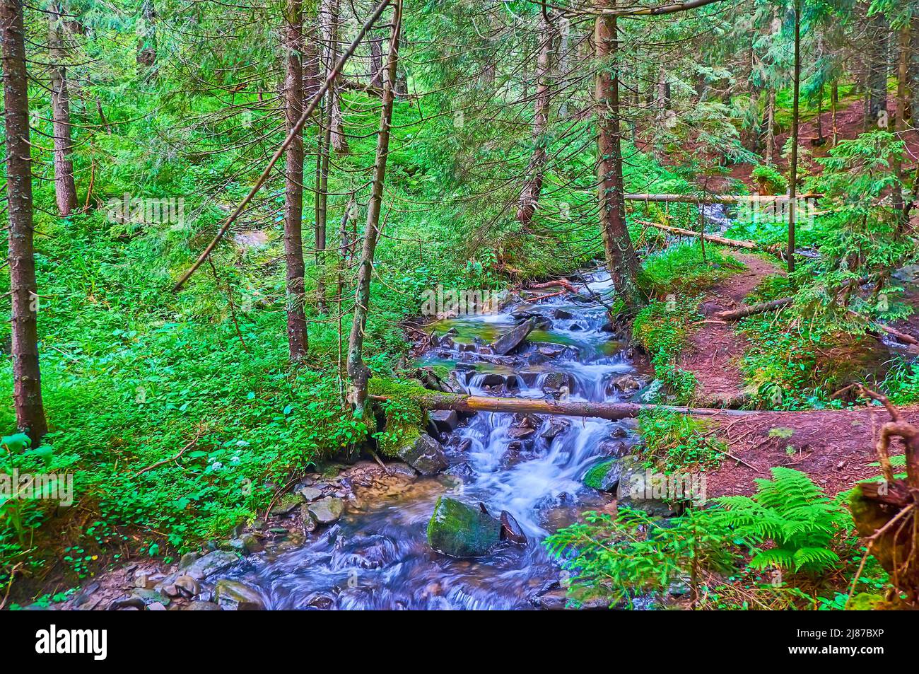 Deep narrow creek hi-res stock photography and images - Alamy