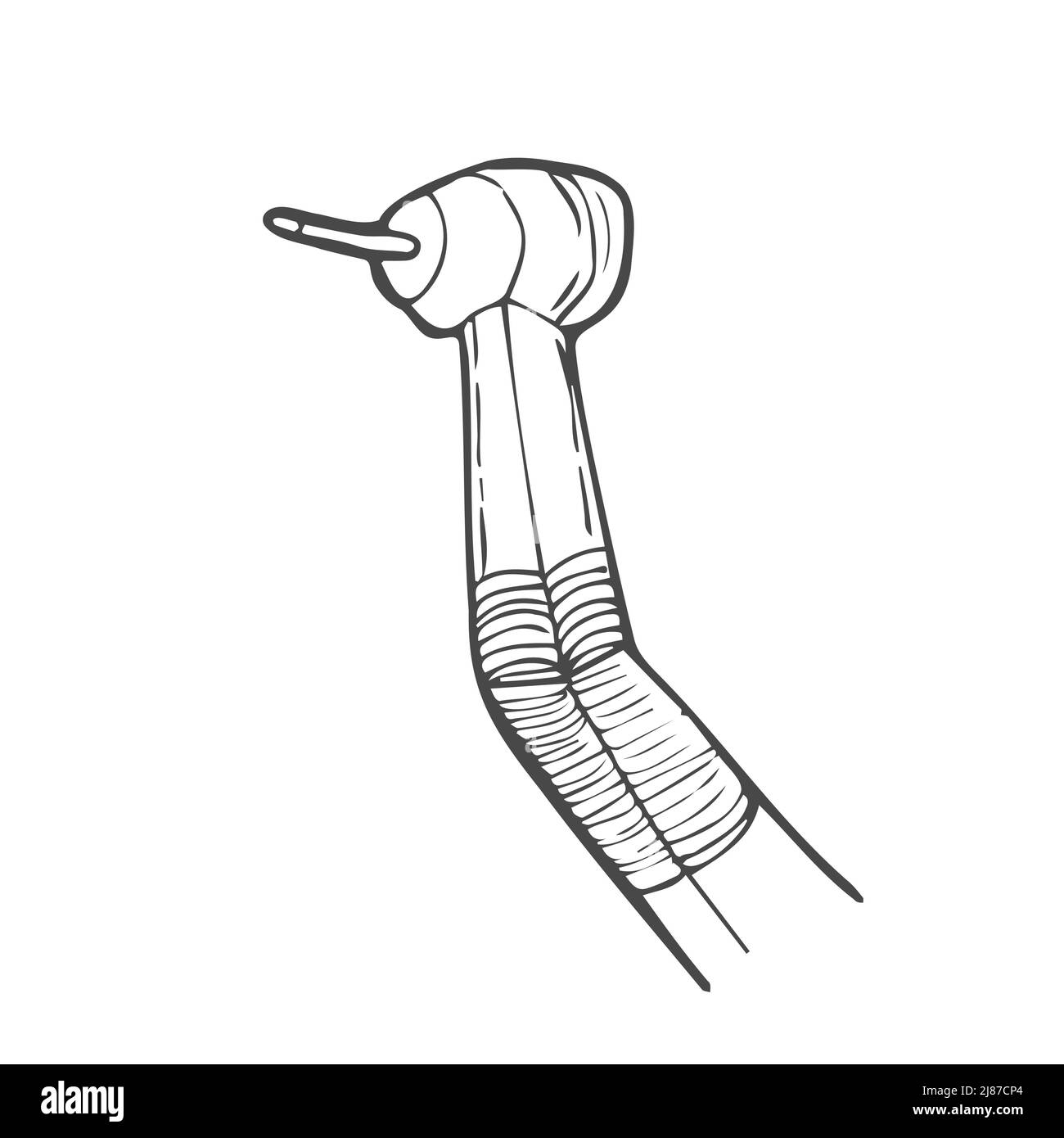 Dentist Surgeon Hand Drill Dental Equipment Vector Art Isolated on ...