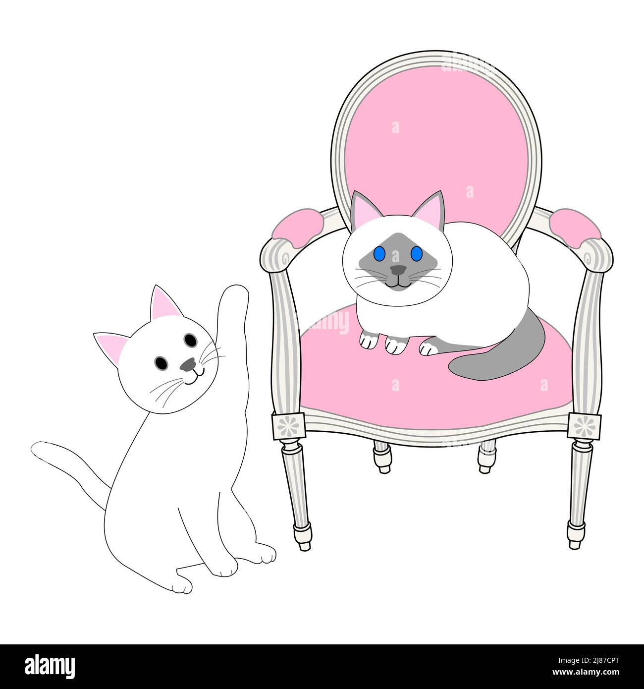 A white cat standing beside a Birman cat on an elegant pink chair in ...