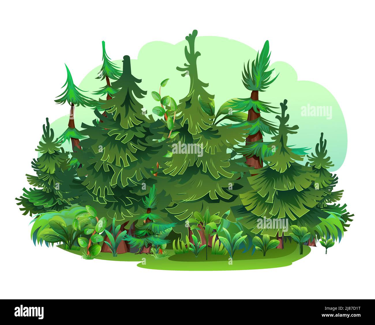 Glade in Pine forest. Coniferous spruce trees. Landscape cartoon style ...