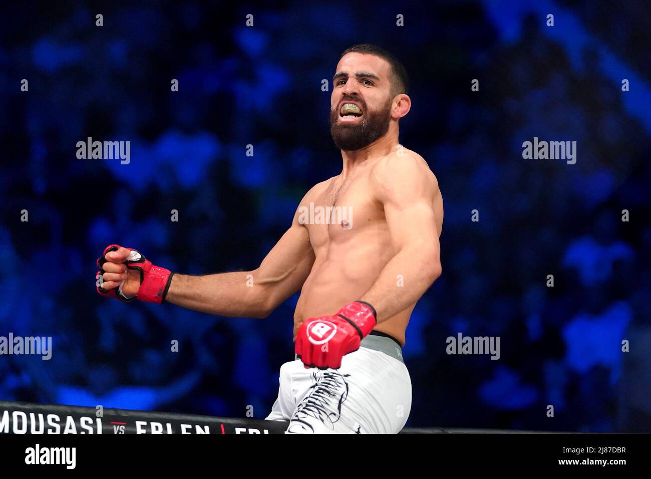 Daniel Weichel celebrates victory via KO against Robert Whiteford in ...