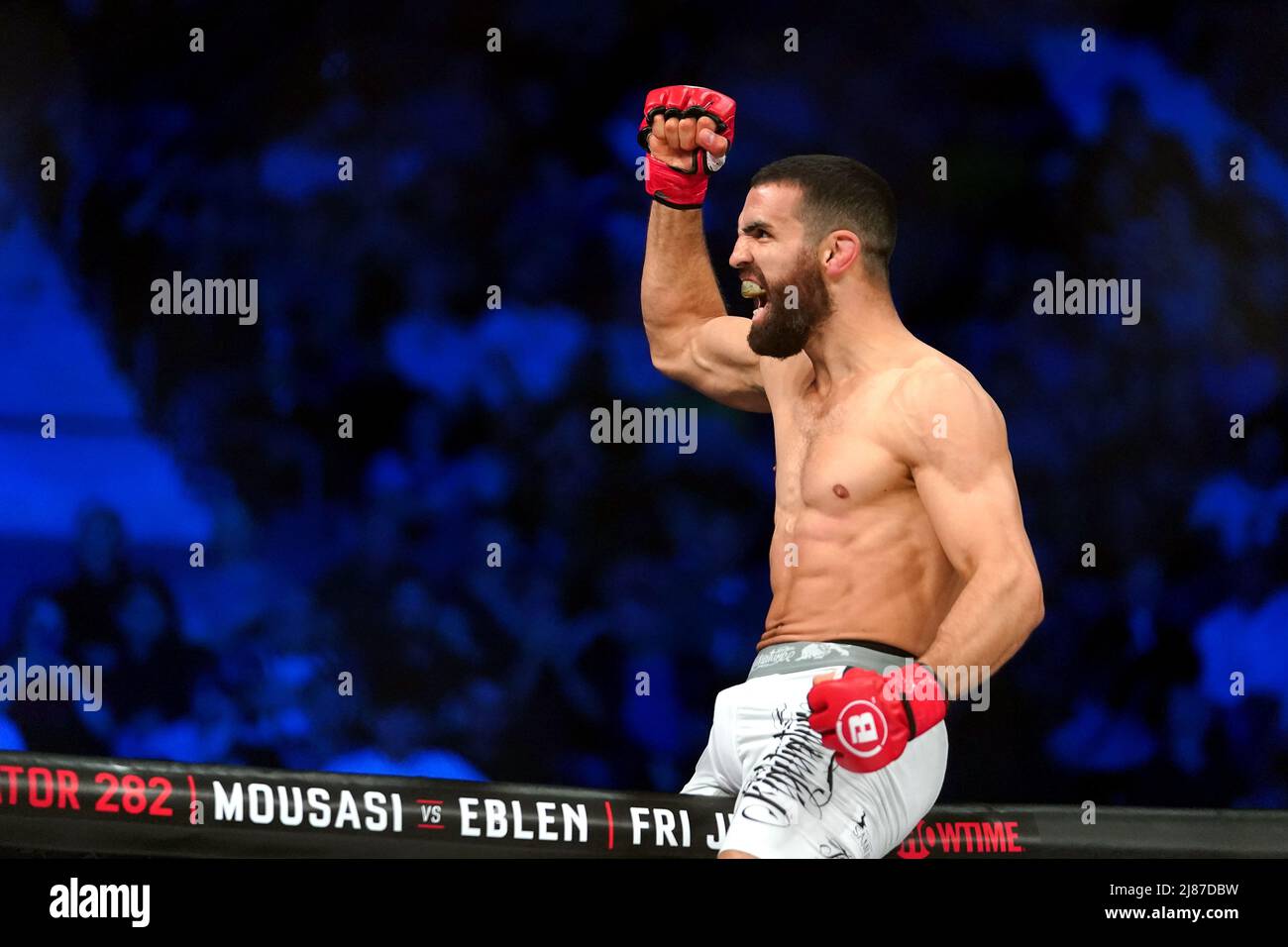 Ufc ko hi-res stock photography and images - Alamy