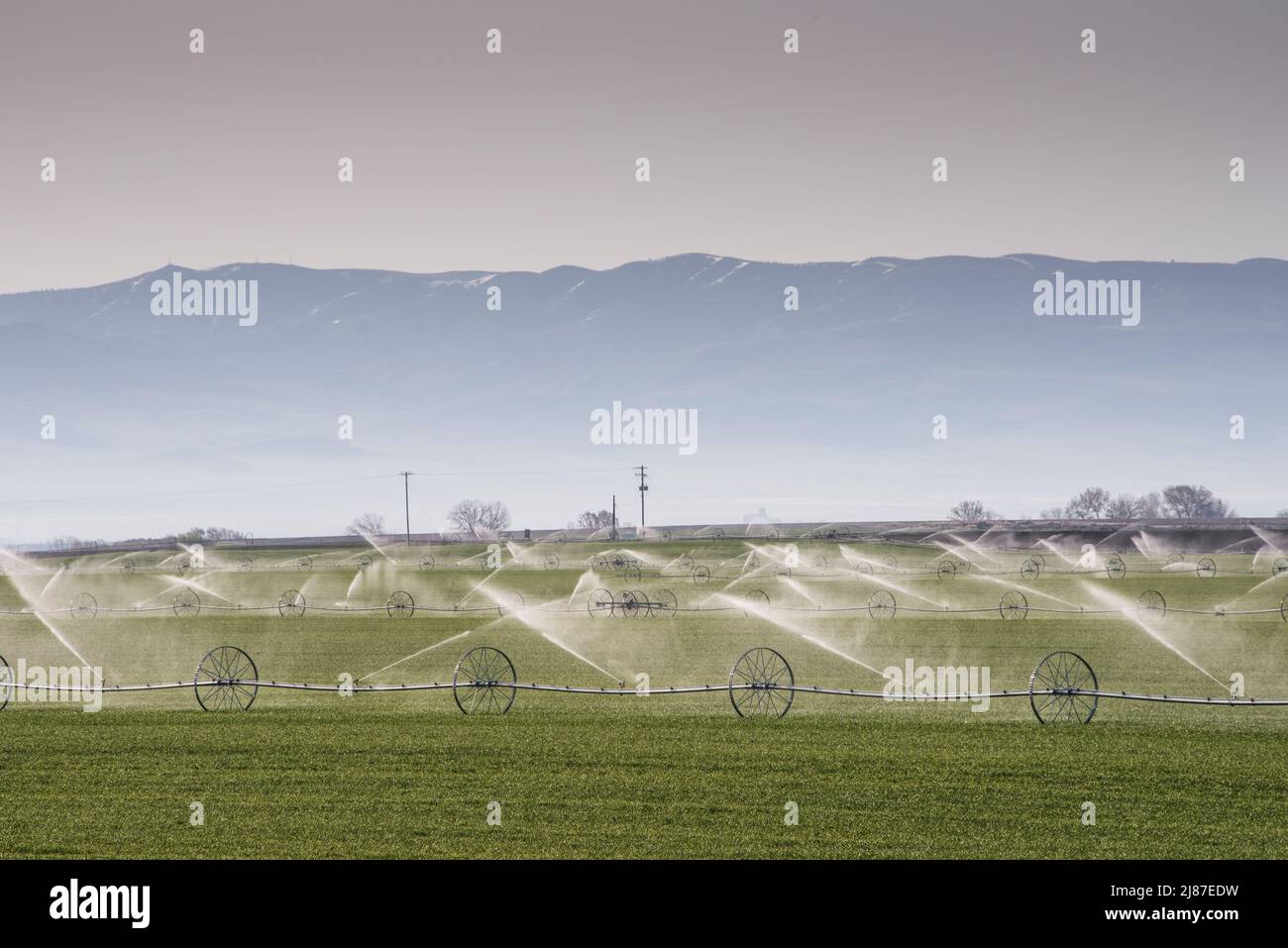 Grain wheel hi-res stock photography and images - Alamy