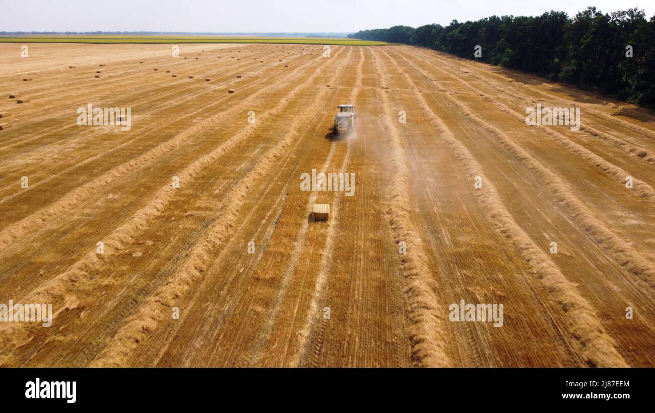 Hay bale tractor. Tractor harvesting hay into bales in field on sunny ...