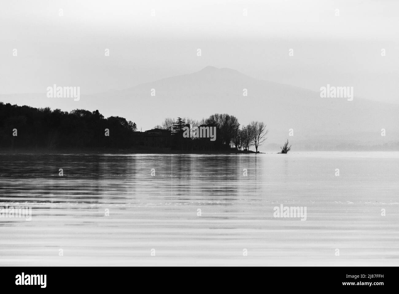 Lake reflection trees Black and White Stock Photos & Images - Alamy