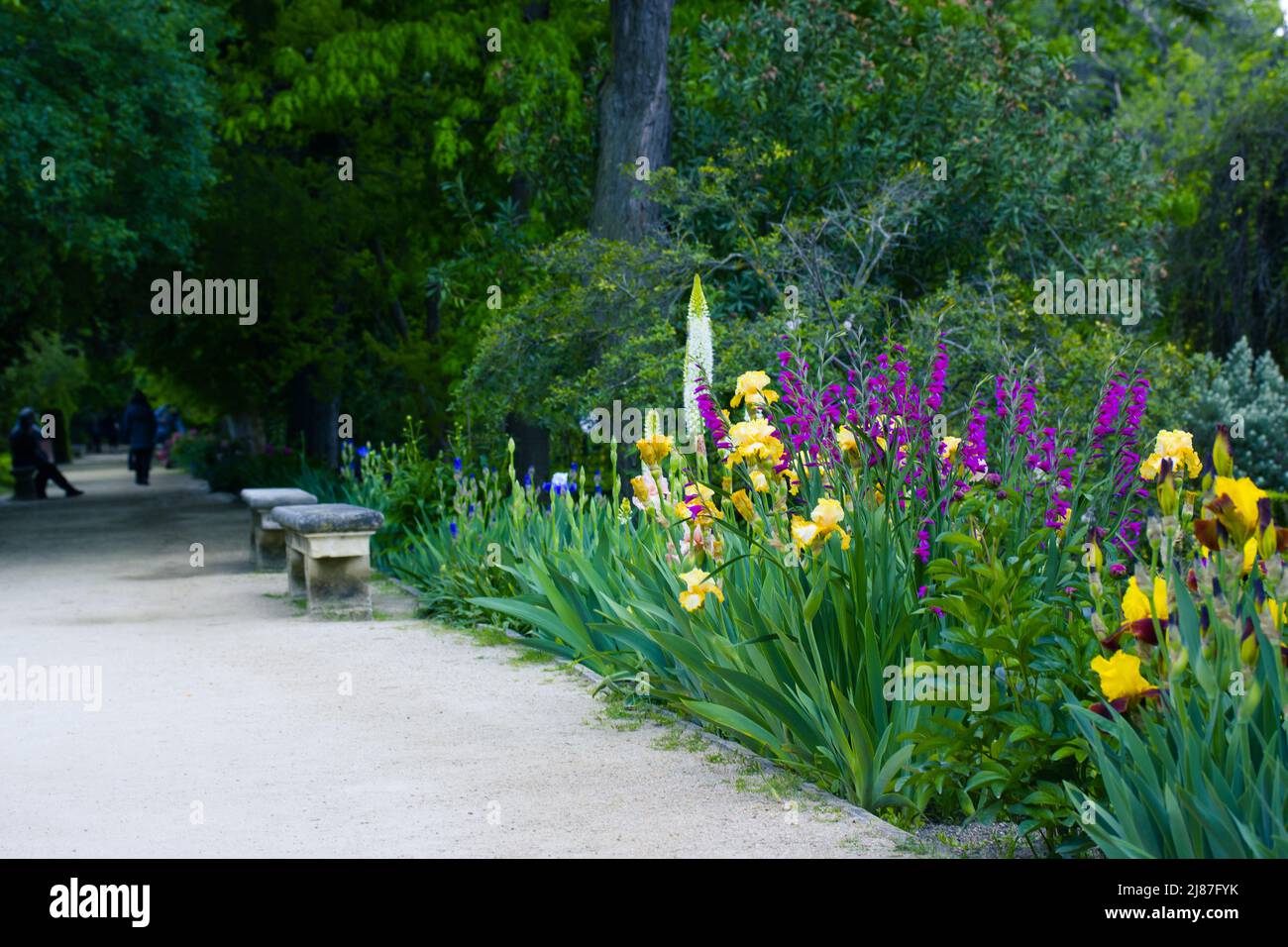Royal Botanical Gardens in Madrid. Beautiful walkway with spring ...