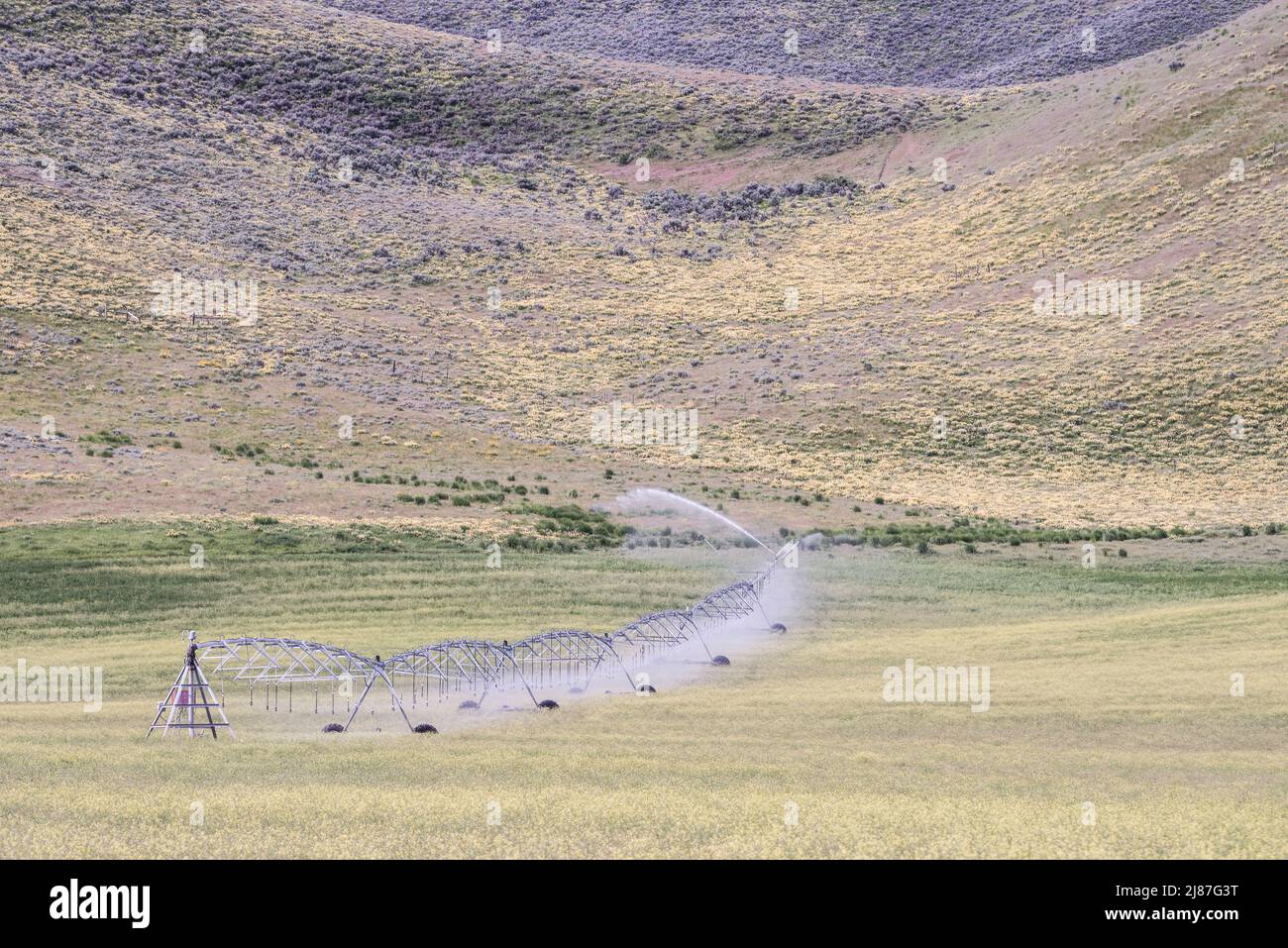 Pivot irrigation hi-res stock photography and images - Alamy