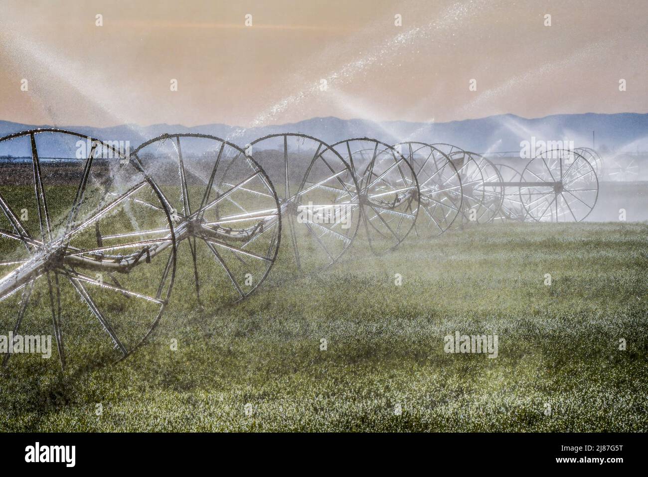Water wheel irrigation hi-res stock photography and images - Alamy