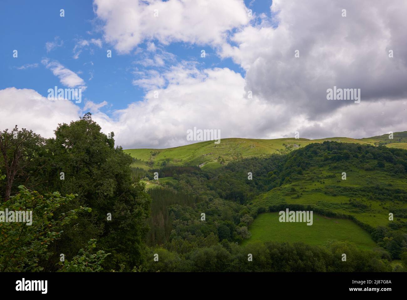 A beautiful panoramic view of a mountain with abundant vegetation on a ...