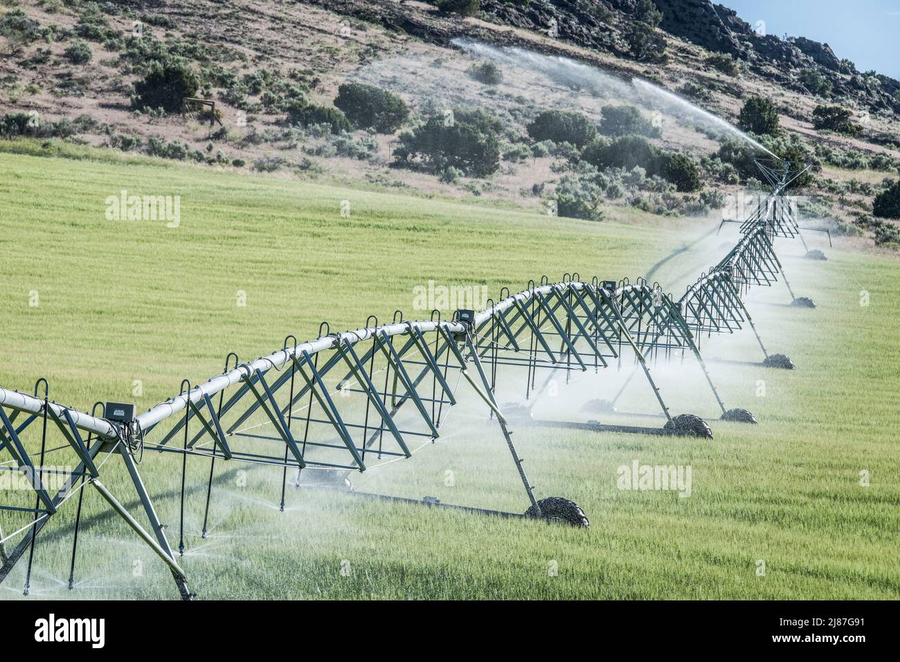 Pivot irrigation waters a crop on the Menan Butte, Deer Parks Wildlife ...