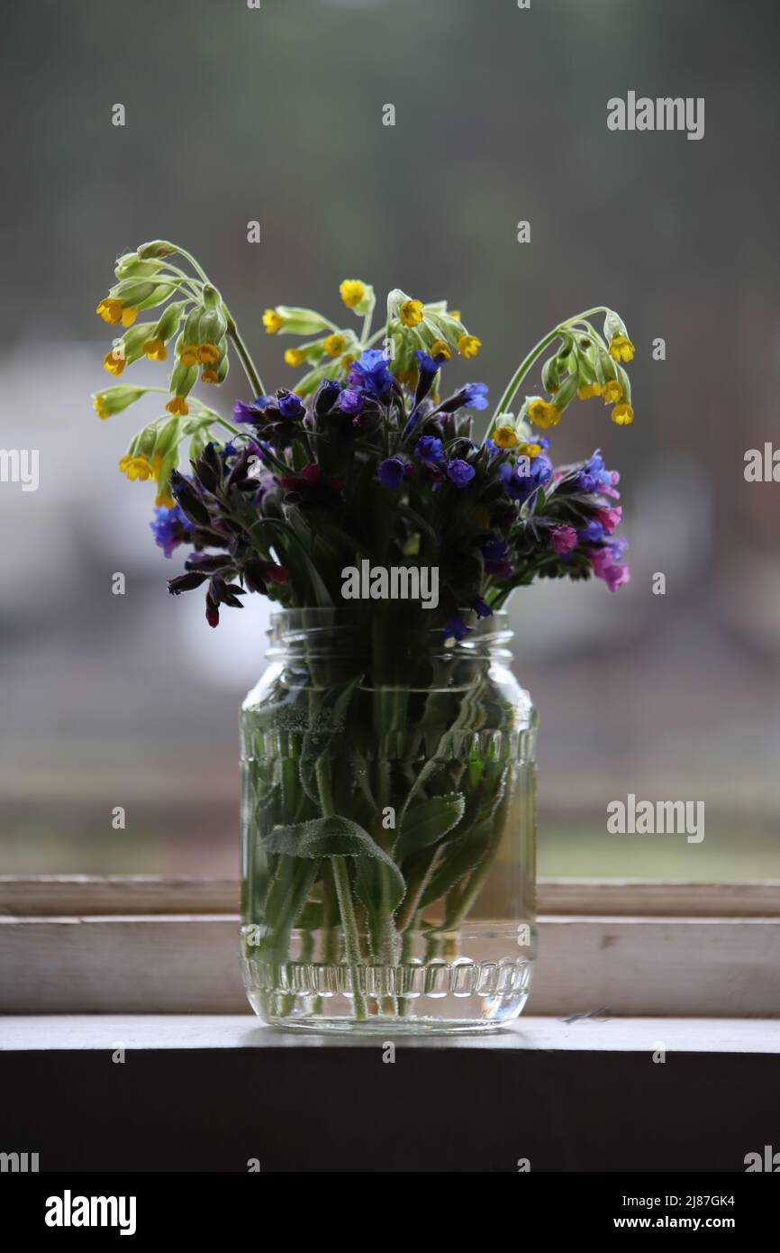Bouquet of spring flowers in front of the window. Yellow, pink, blue ...