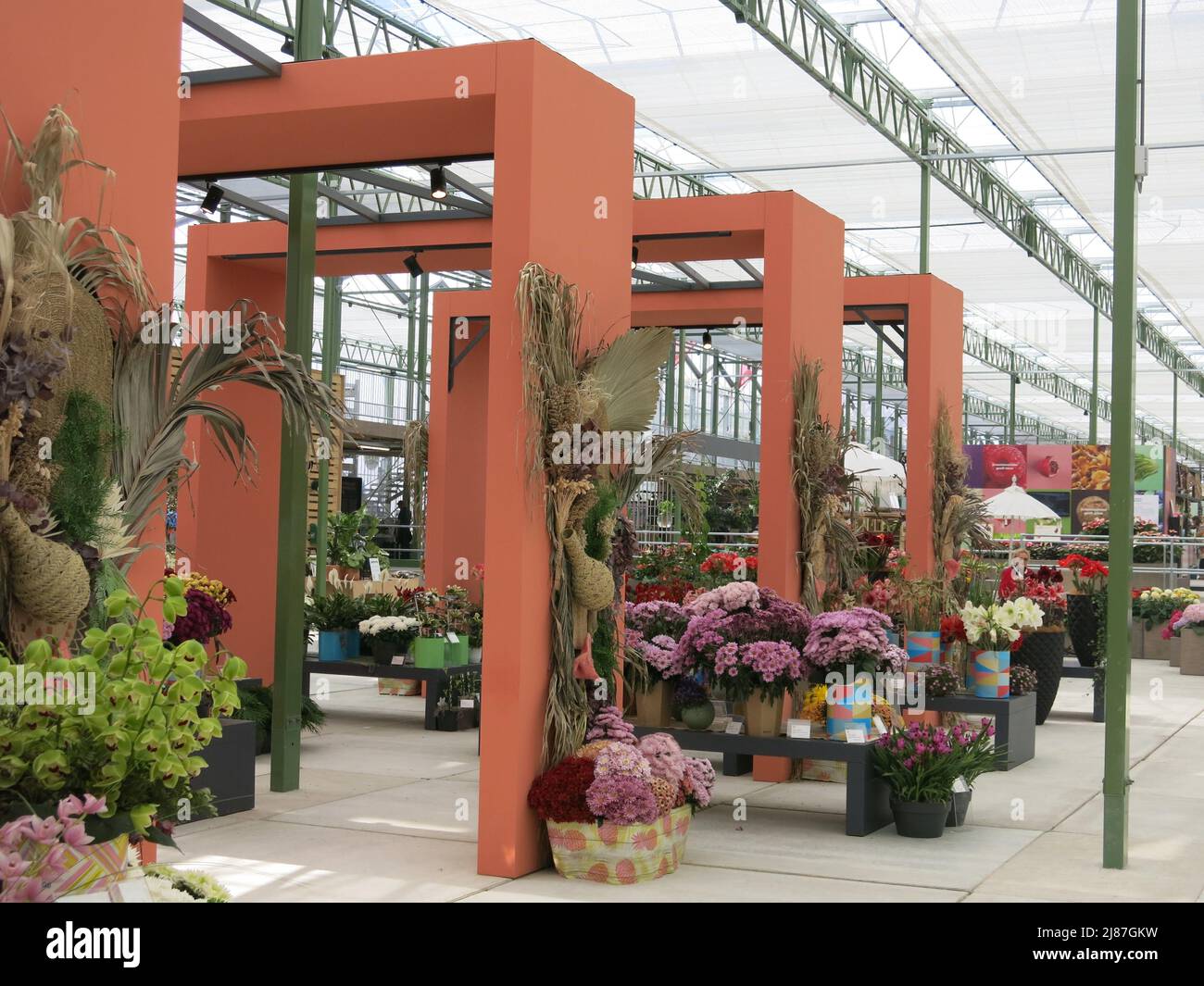 Spectacular floral displays in the Green House on Hortus Avenue, a ...