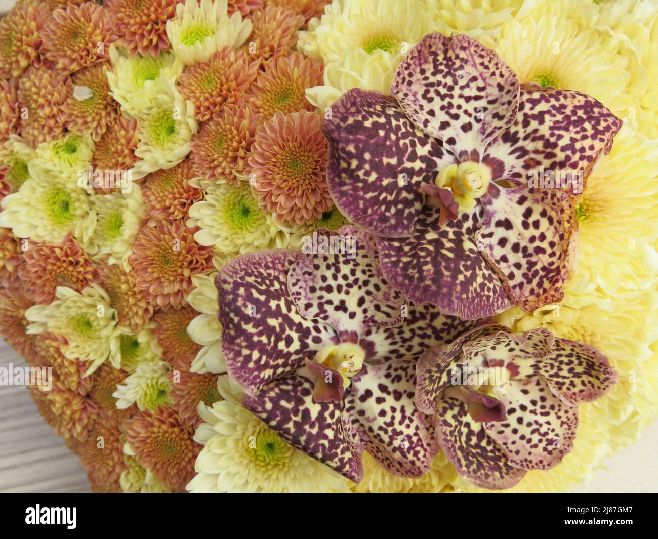Floral display that creates a botanical feast for the eyes of exotic ...
