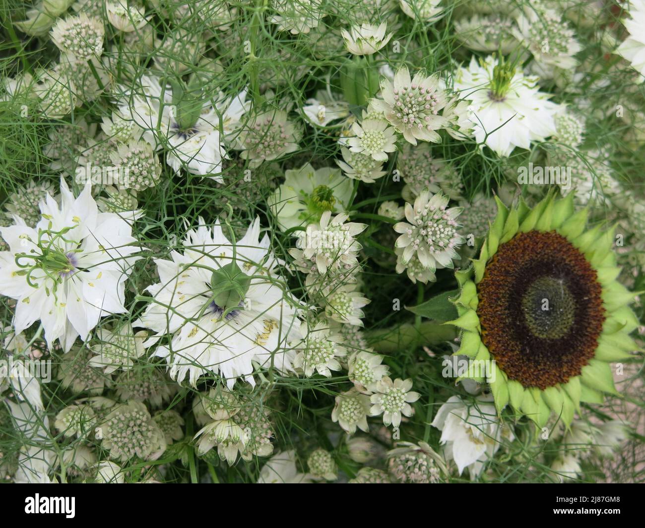 Floral display that creates a botanical feast for the eyes of exotic ...
