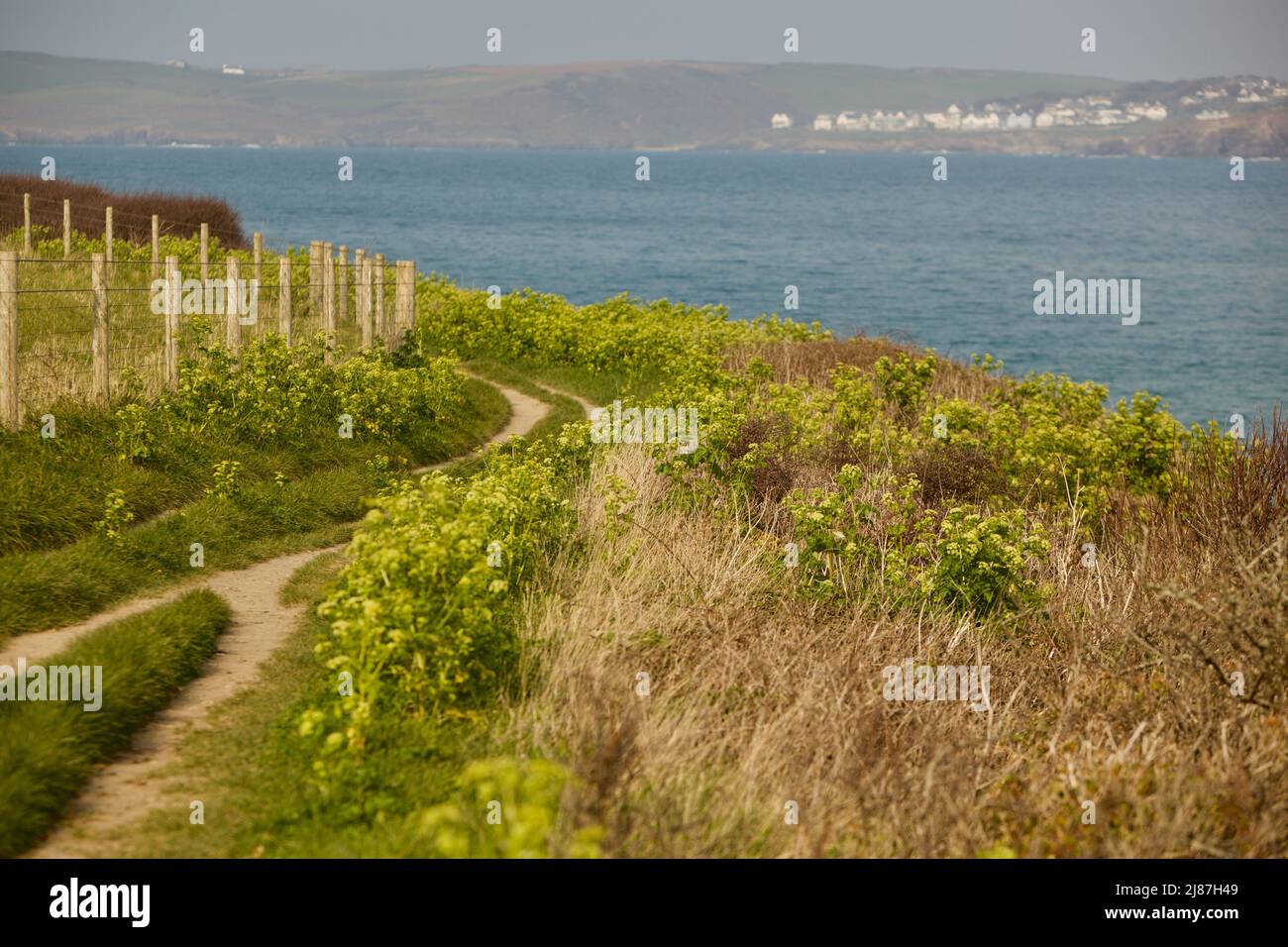 South west coast path Stock Photo - Alamy