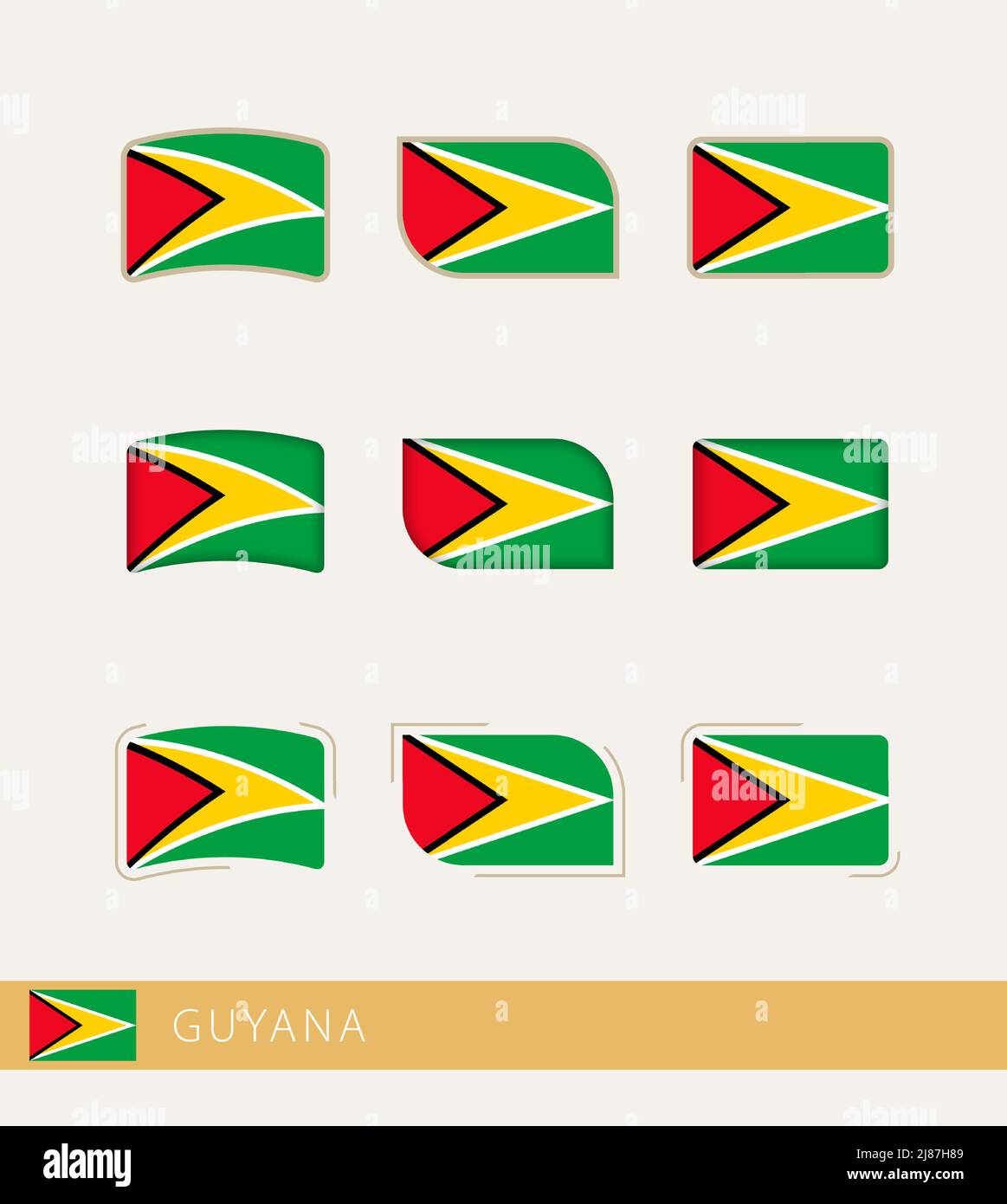 Vector flags of Guyana, collection of Guyana flags. Vector icon Stock ...