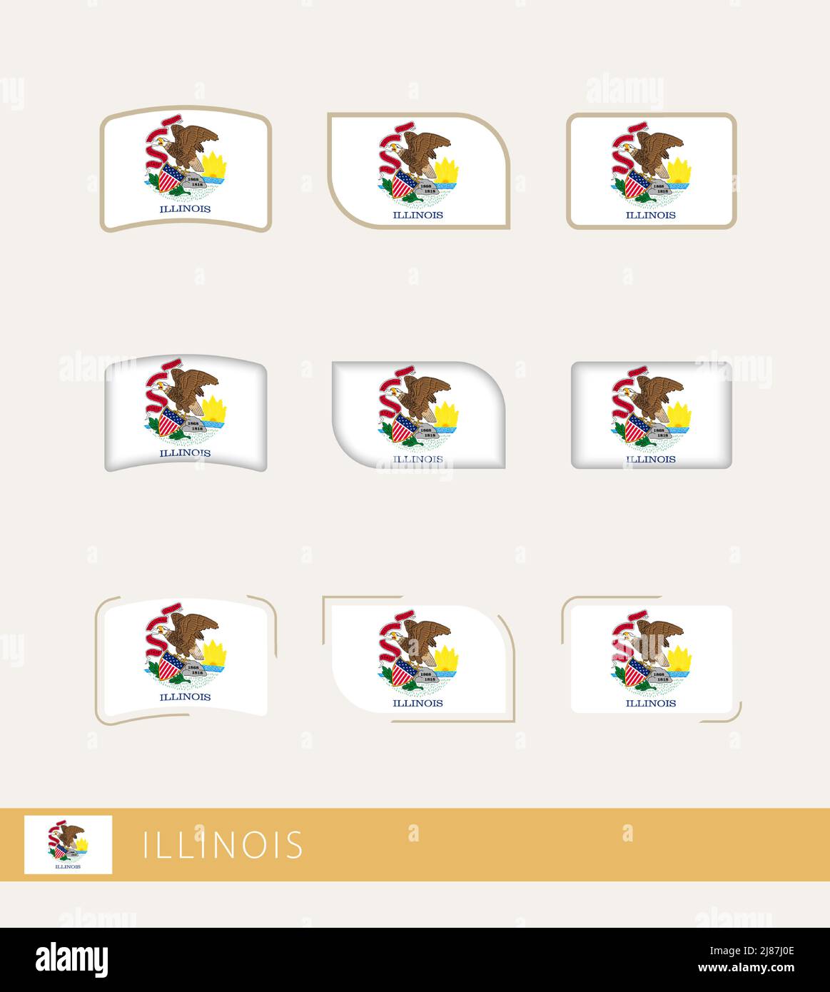 Vector flags of Illinois, collection of Illinois flags. Vector icon ...