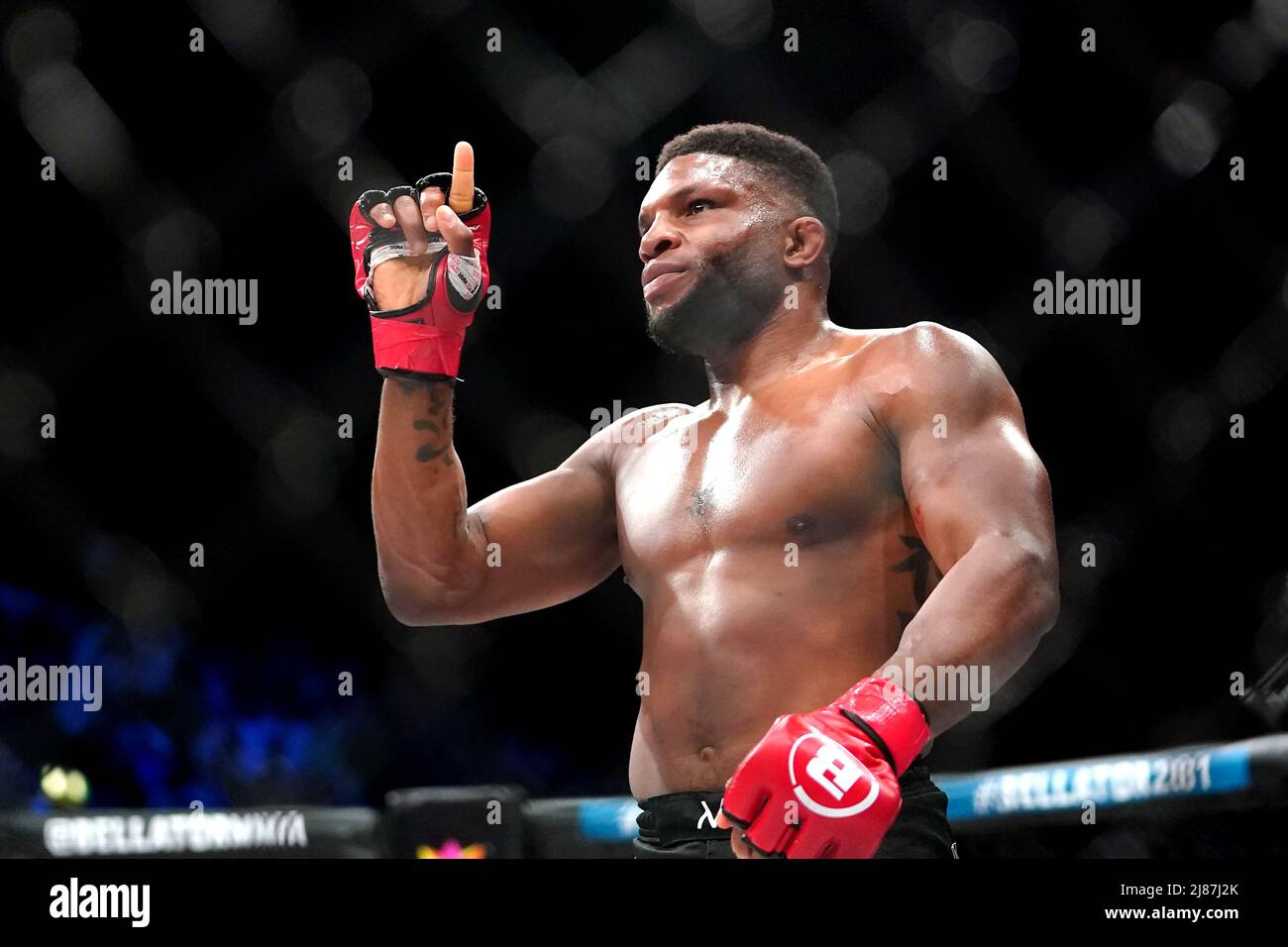 Paul Daley celebrates victory against Wendell Giacomo after the ...