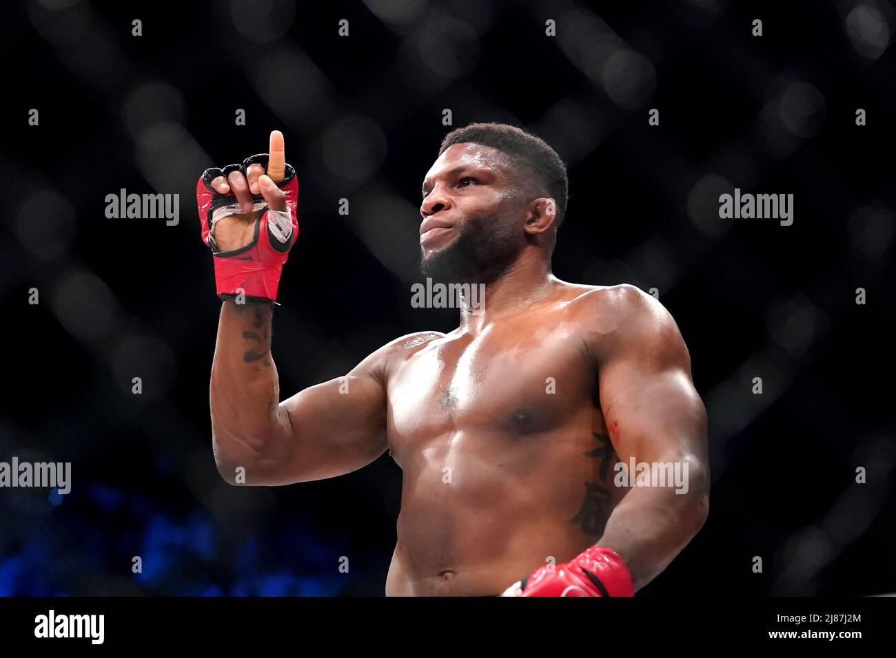 Paul Daley celebrates victory against Wendell Giacomo after the ...