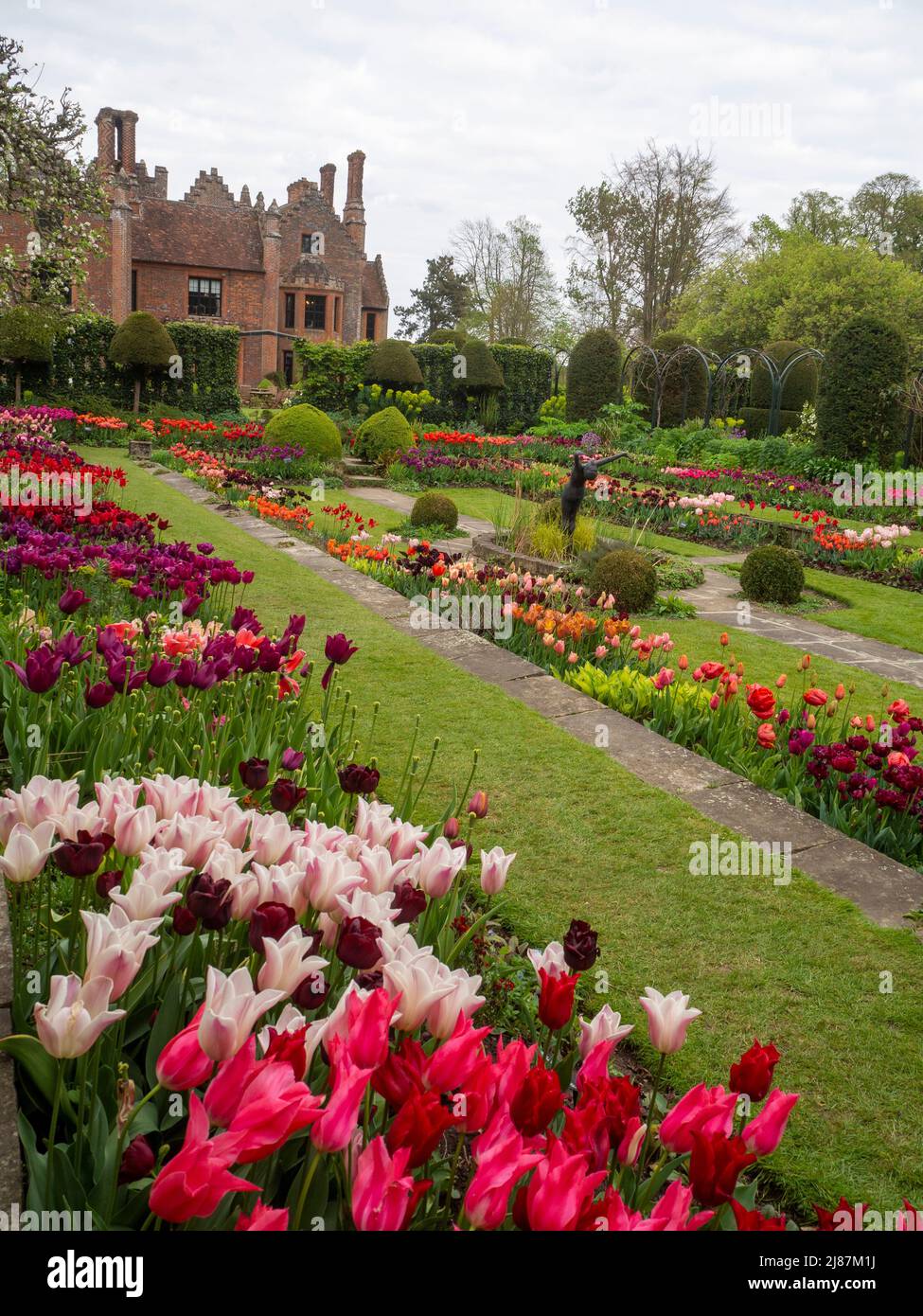 Chenies Manor House and Sunken Garden at Tulip time Stock Photo - Alamy