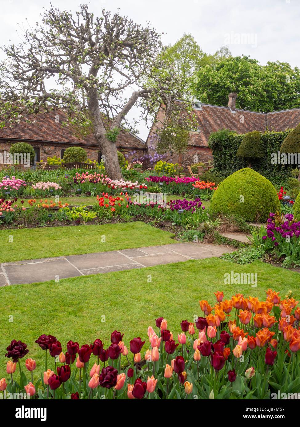 Chenies Manor Garden.Portrait view of the beautiful Sunken garden with ...