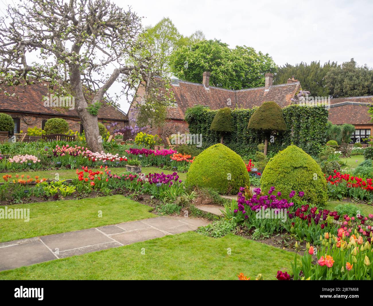 Chenies Manor Garden. Sunken garden paths and steps through the lawn ...