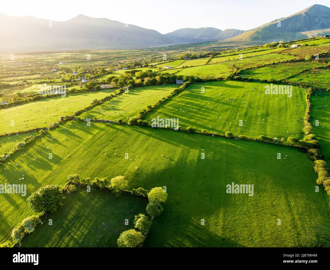 Aerial view of endless lush pastures and farmlands of Ireland ...