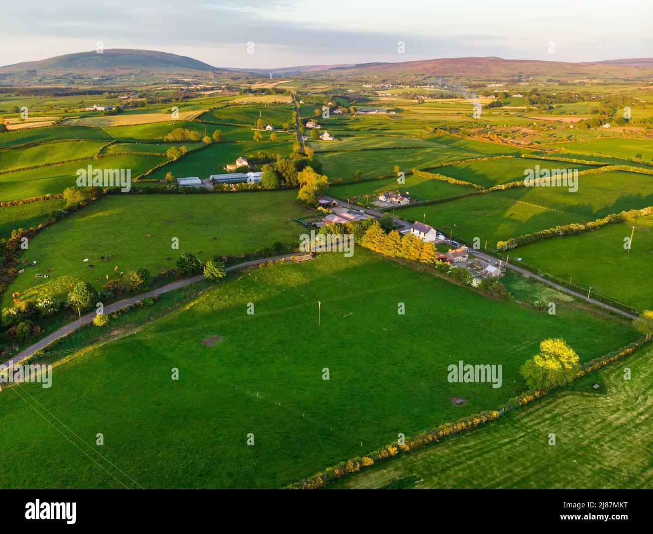 Aerial view of endless lush pastures and farmlands of Ireland ...