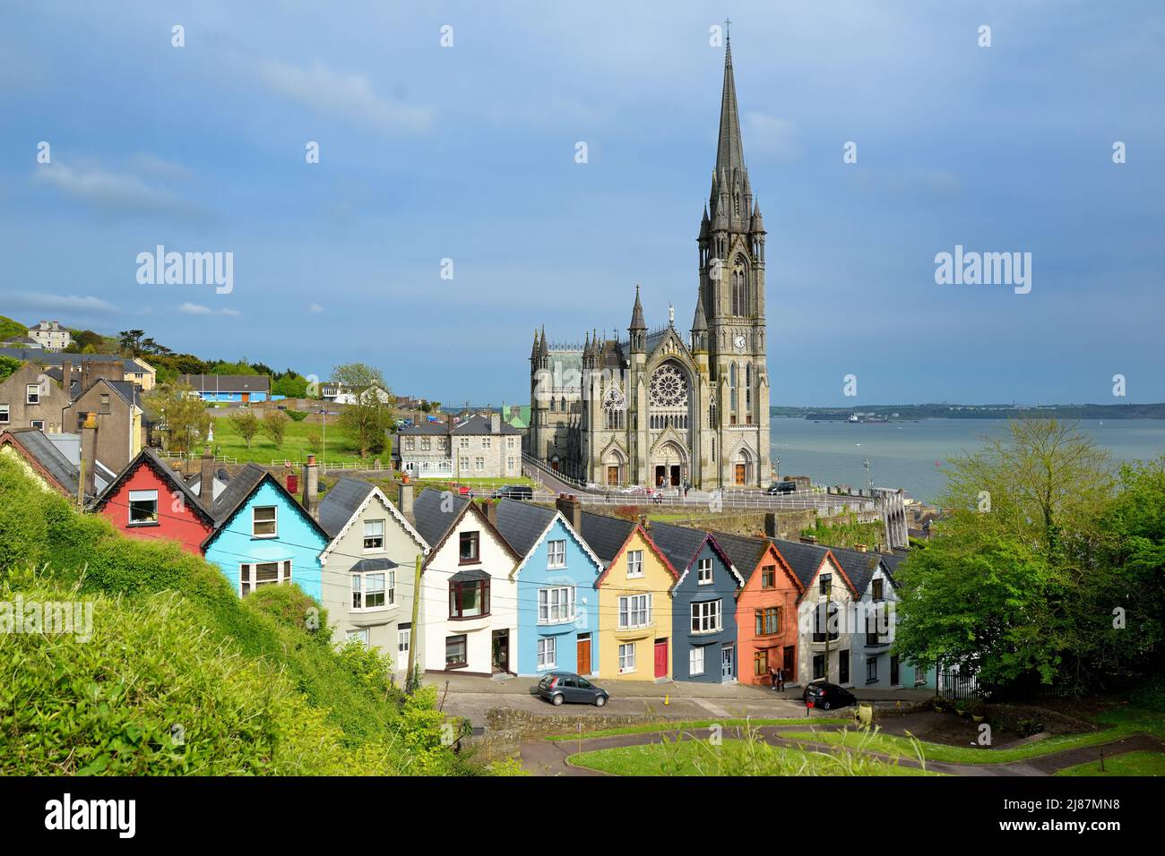 Colorful row houses with towering St. Colman's Cathedral in background ...