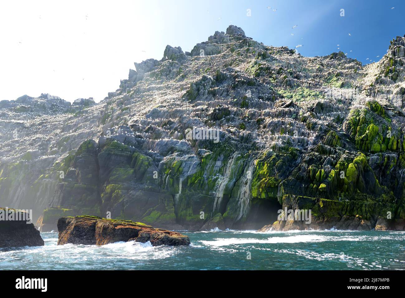 Little Skellig Island, home to many various seabirds and the second ...