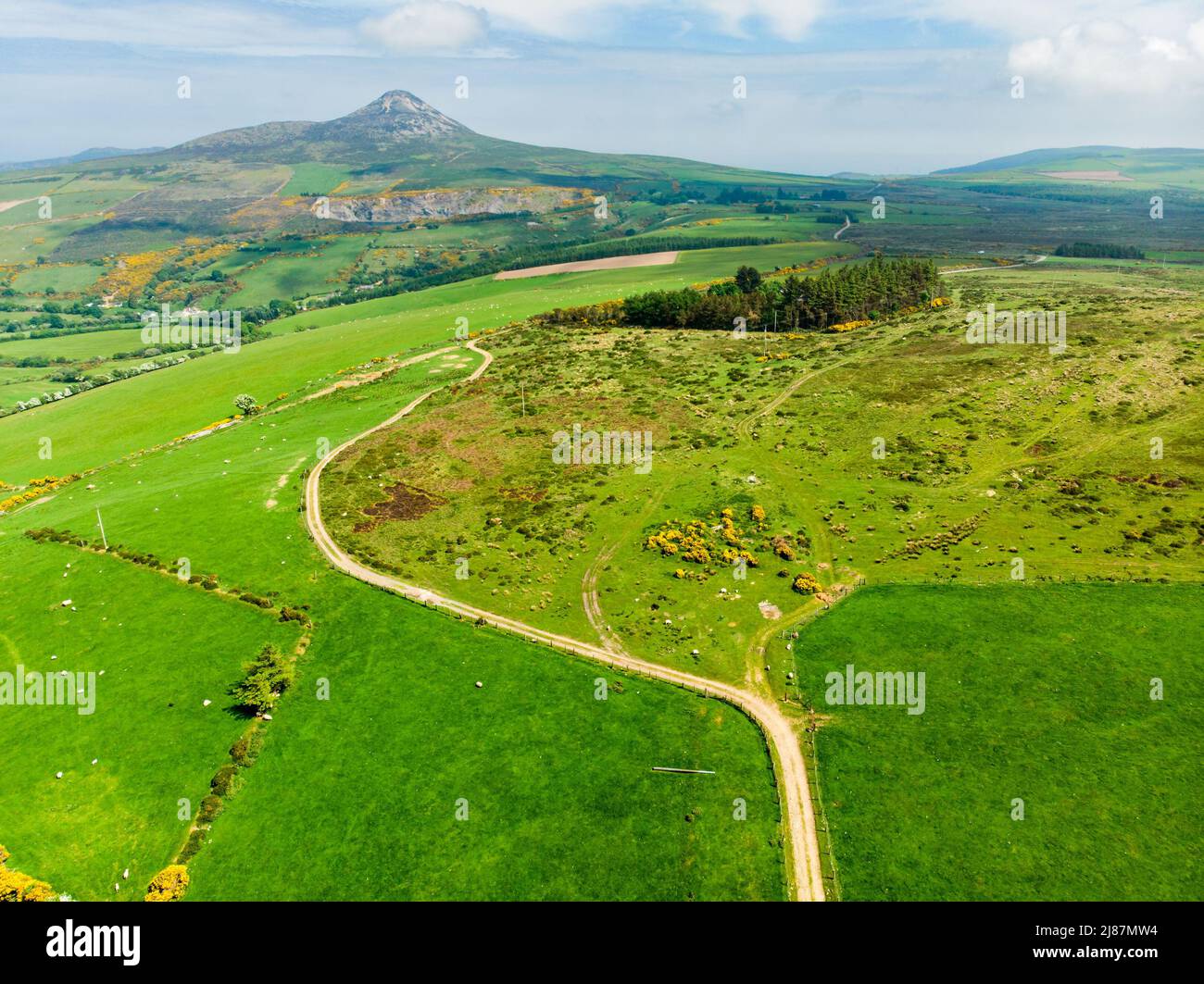 Aerial view of endless lush pastures and farmlands of Ireland ...
