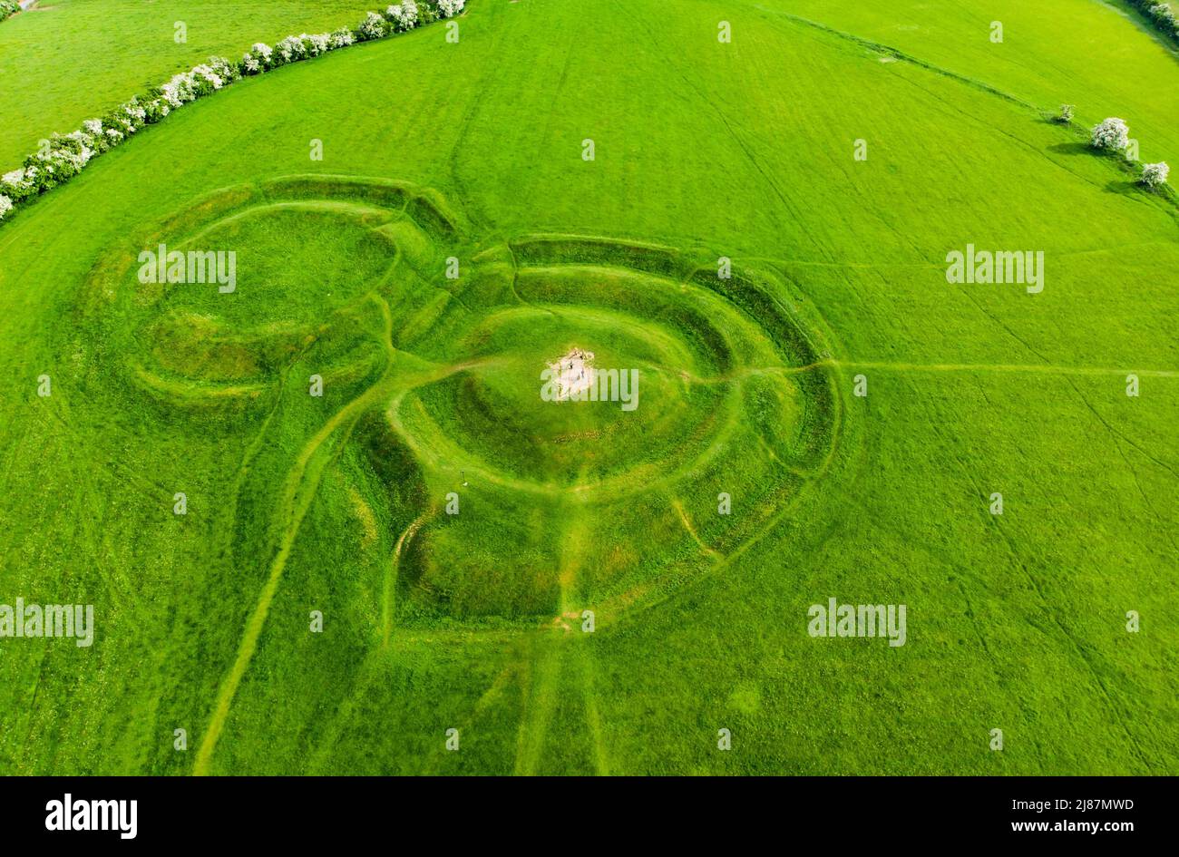Aerial view of the Hill of Tara, an archaeological complex, containing ...